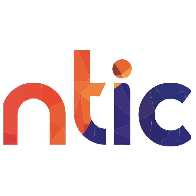 NTIC - Software a la medida, Shopify, E-commerce